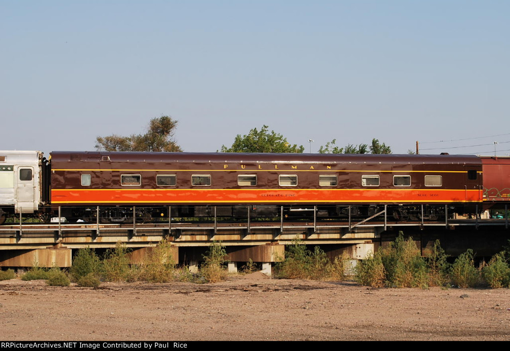 SLRG 9660 Colorado Pine